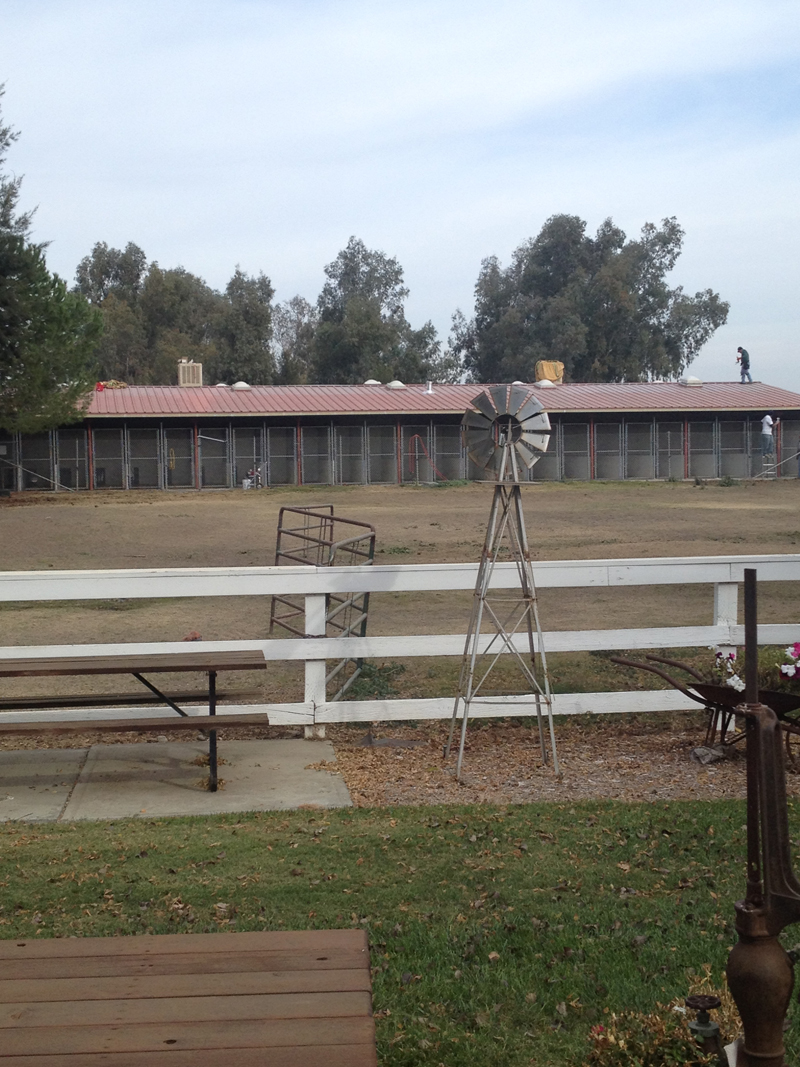 Kennel – arrowpointkennels.com